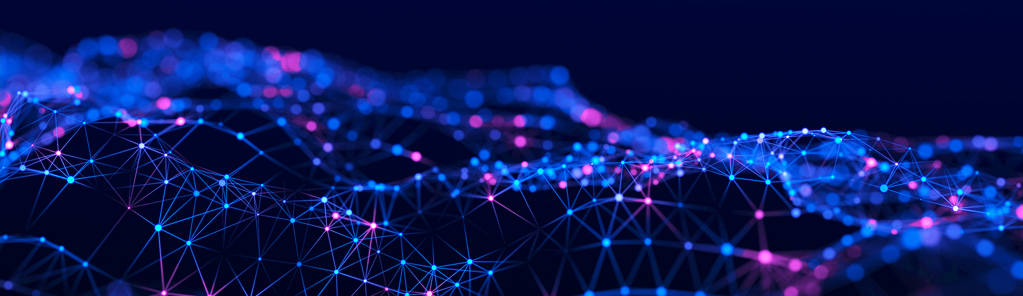 Compute Science Data Science Course With A Work Placement Year